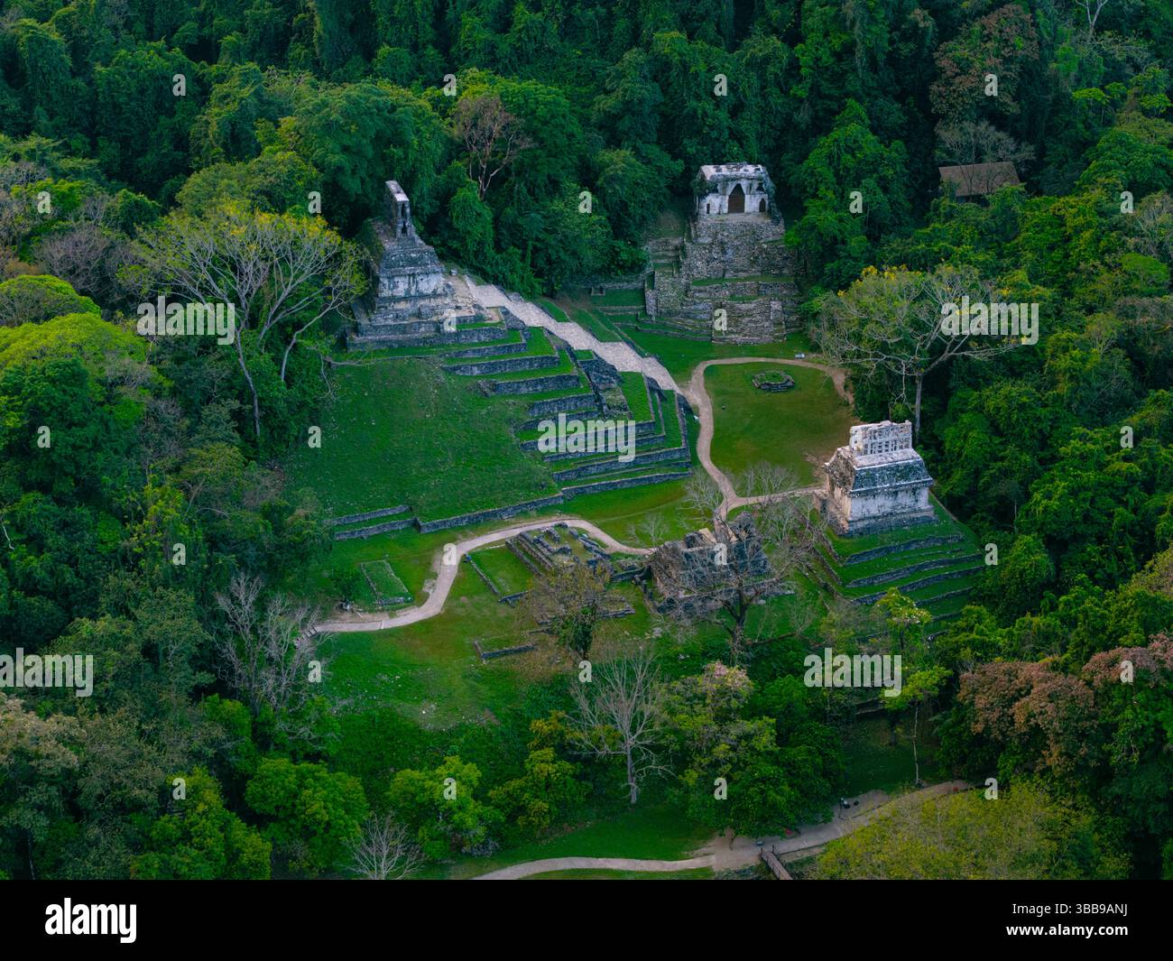 Aerial view of three Mayan temple pyramids at Palenque, Chiapas, Mexico ...