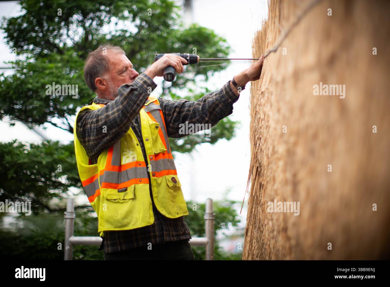 A worker attends to a straw thatched segment in a garden during a build ...
