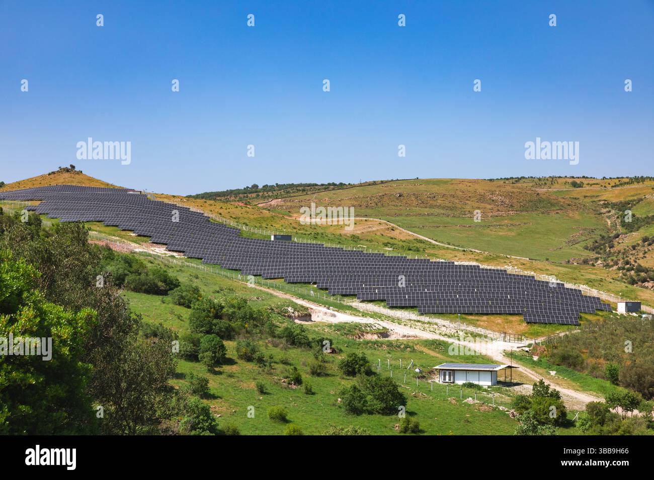 A large solar panel farm is installed on a sloped grassy hillside in a ...