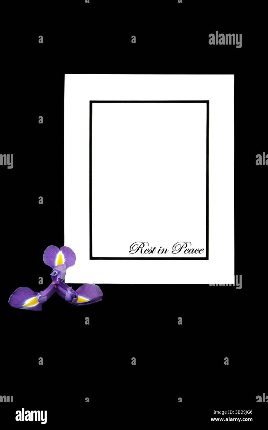 RIP in memorial funeral order of service card sympathy card with iris ...