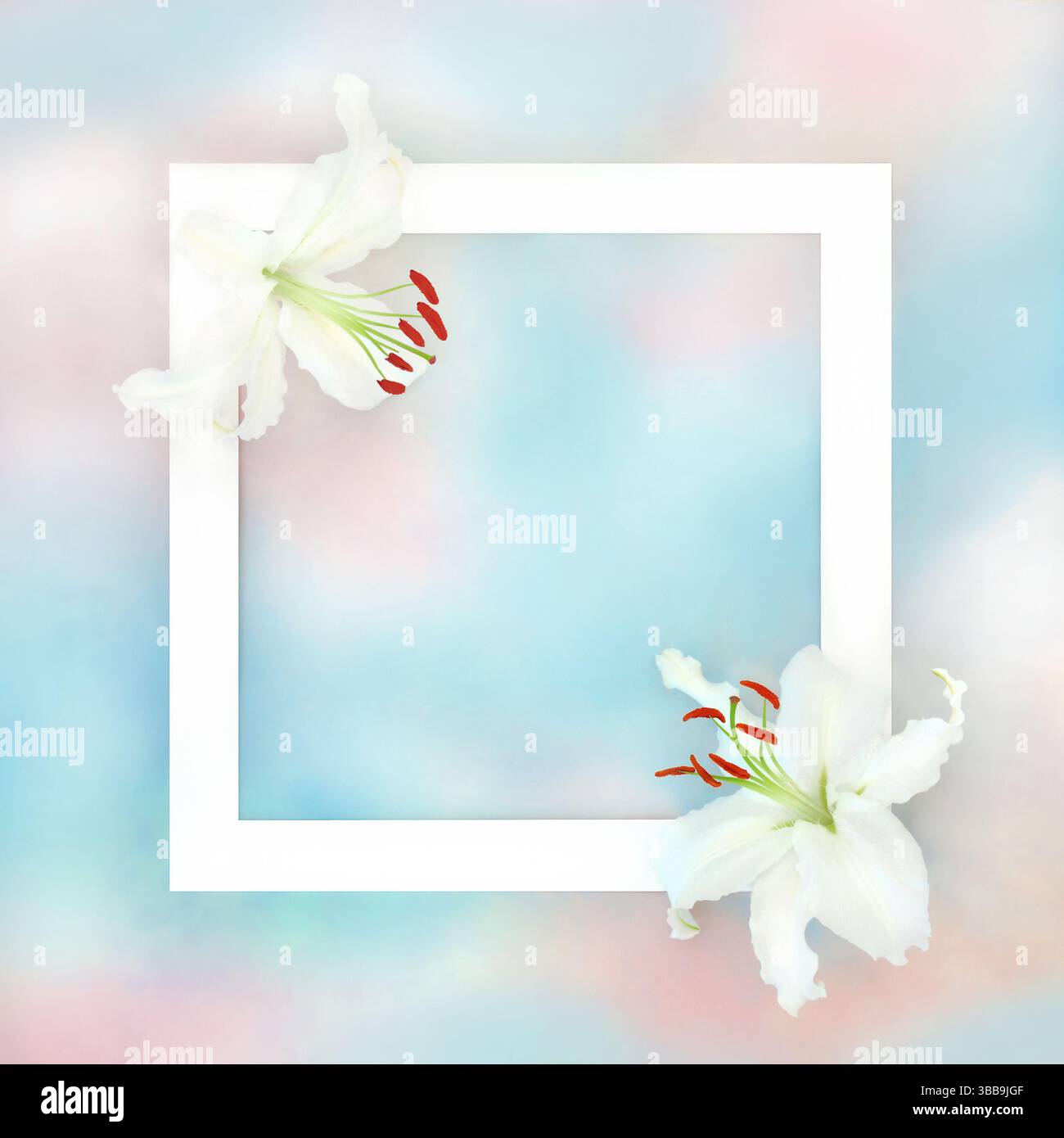 White lily flowers and ribbon with heavenly sky cloud background frame ...