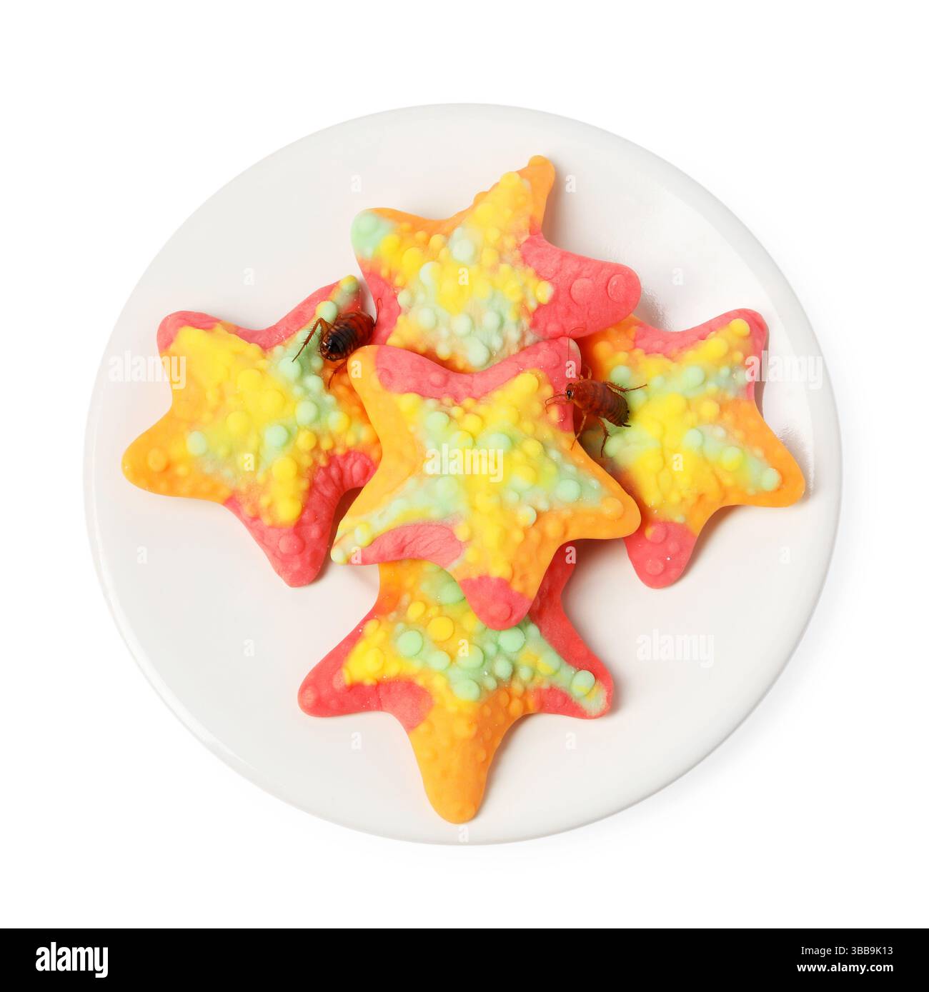 Cockroaches crawling on gummy candies against white background, top ...