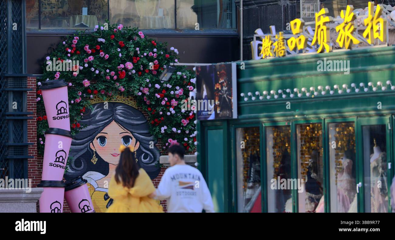 Various flowers bloom in Harbin City, northeast China's Heilongjiang ...