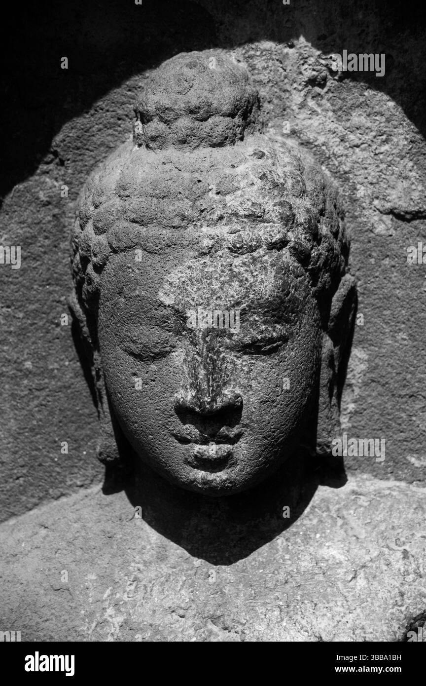 Head 2011 Black and White Stock Photos & Images - Alamy