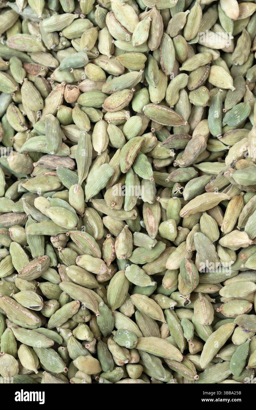 Popular indian spices hi-res stock photography and images - Alamy