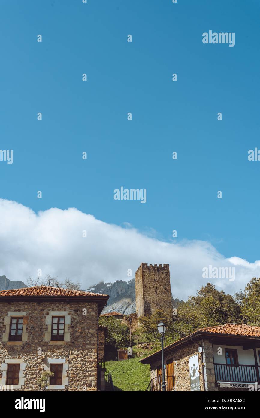 Mogrovejo hi-res stock photography and images - Alamy