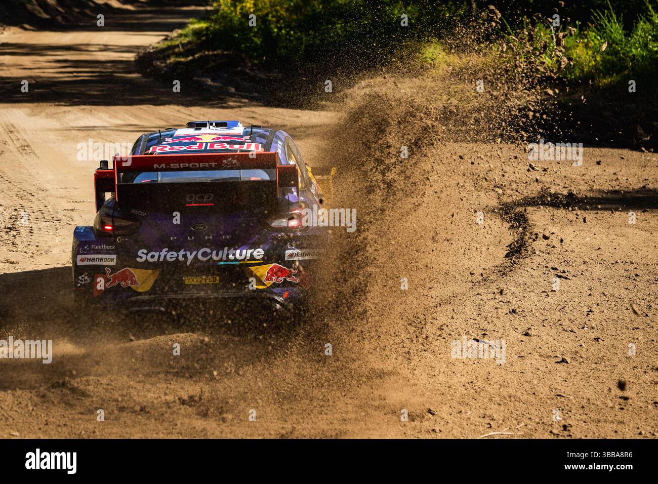 13 Grégoire MUNSTER, Louis LOUKA, Ford Puma Rally1, action during the ...