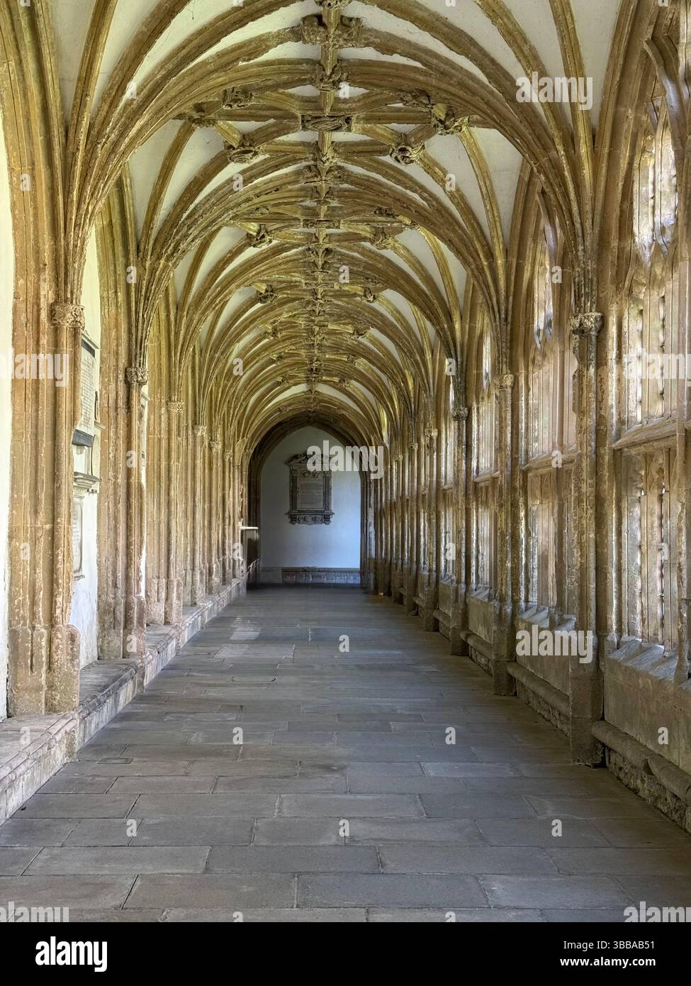 Cathedral with arches smartphone stock photos and images - Alamy