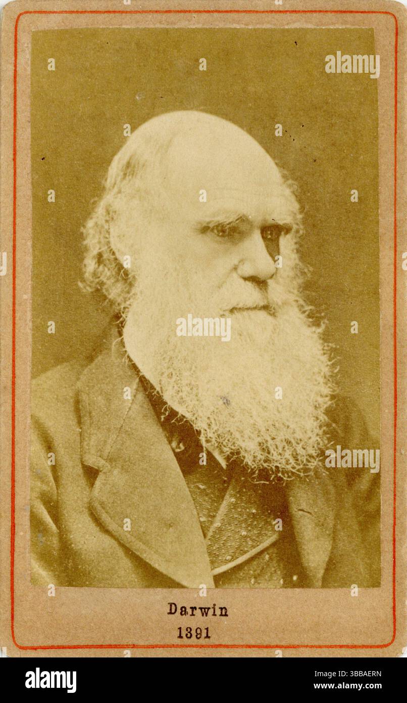 Charles Robert Darwin english naturalist, geologist, biologist 1809-1882 Stock Photo - Alamy