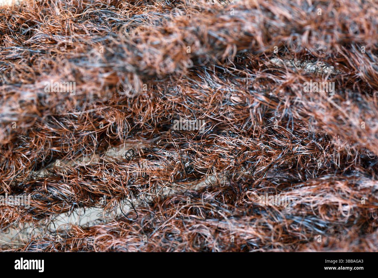 Close up modern hair hi-res stock photography and images - Alamy