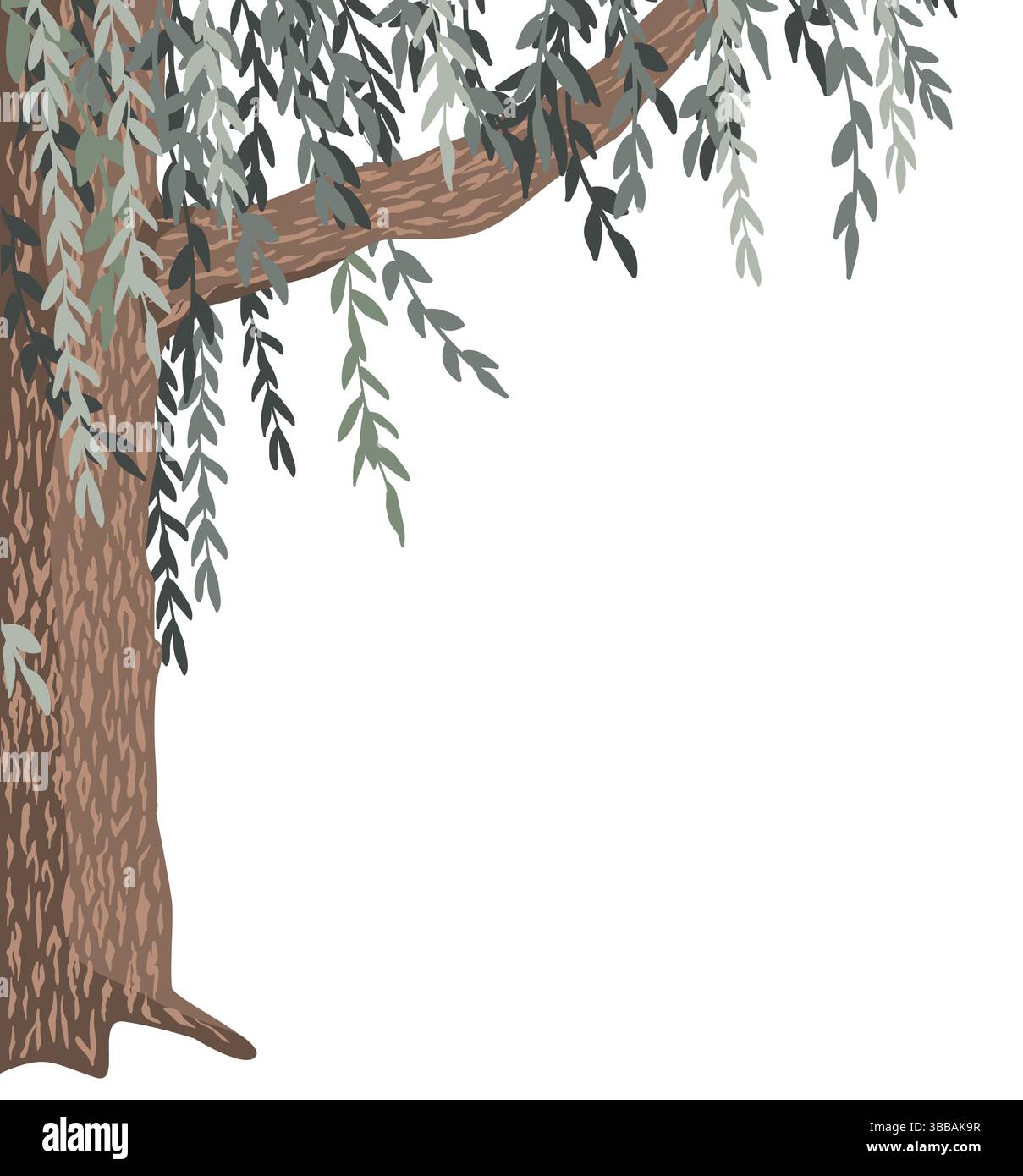 Weeping willow woods Stock Vector Images - Alamy