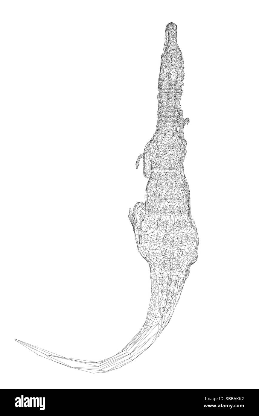 Animal evolution shown Black and White Stock Photos & Images - Alamy