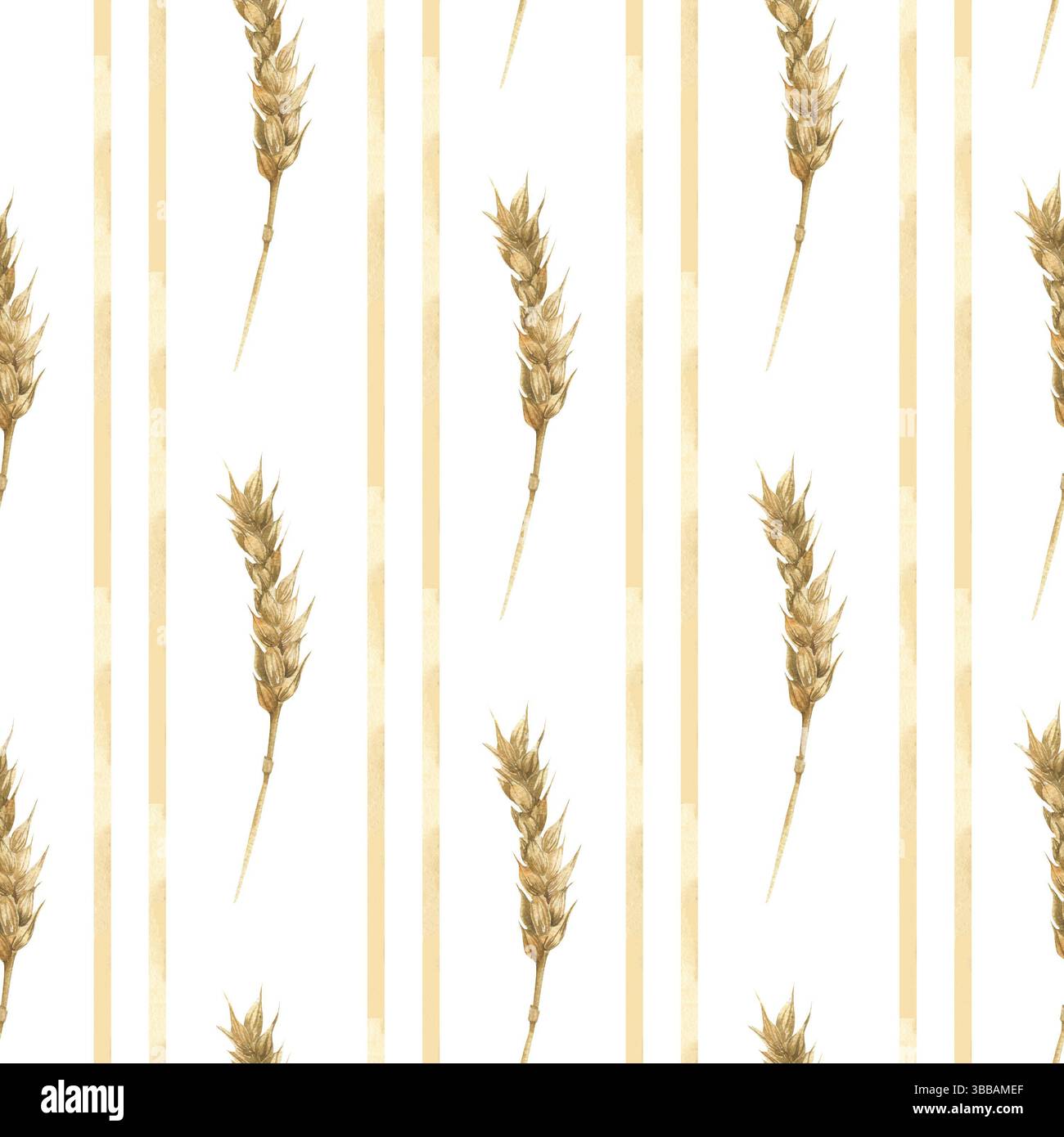 Field dry grass in Cut Out Stock Images & Pictures - Alamy