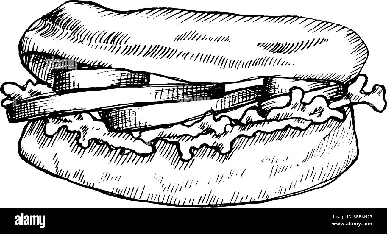 Sandwich, vector graphics, hand drawn sketch. Black and white graphics ...