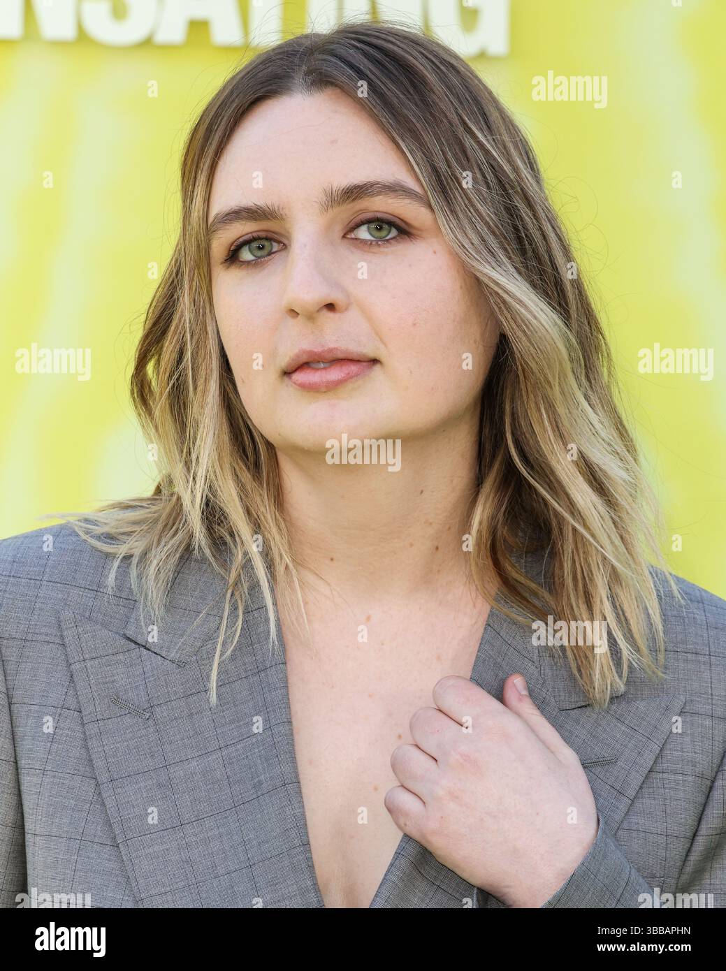 HOLLYWOOD, LOS ANGELES, CALIFORNIA, USA - MAY 14: American comedian ...