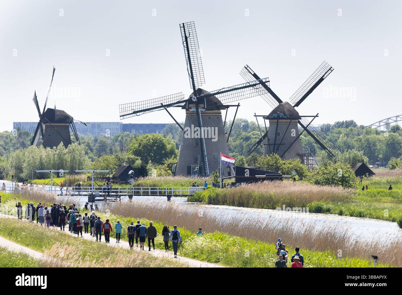 KINDERDIJK - Thousands of enthusiasts headed out to view and visit ...