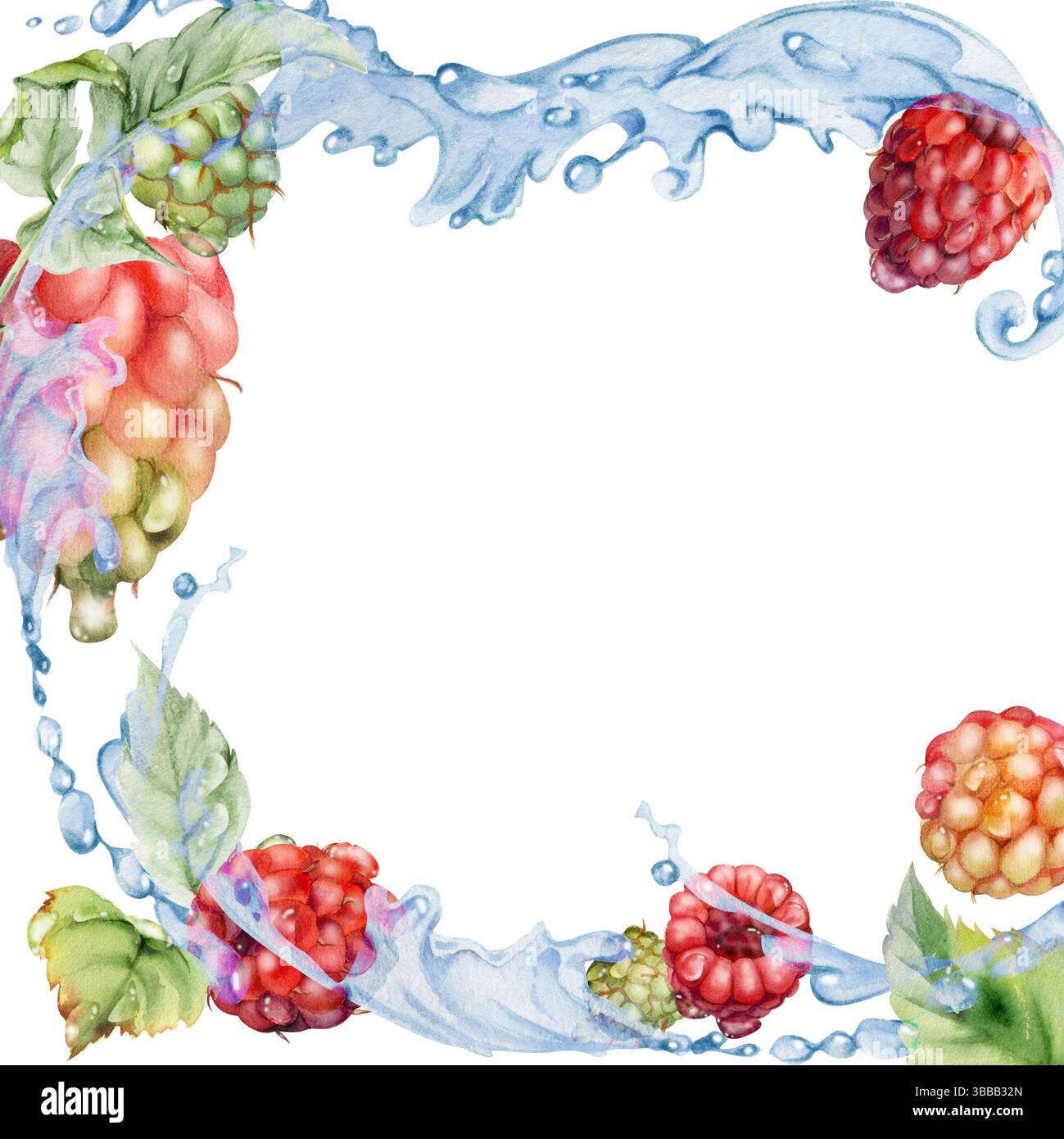 Raspberry berries leaves flying in dew drops, water splash, ripe garden ...