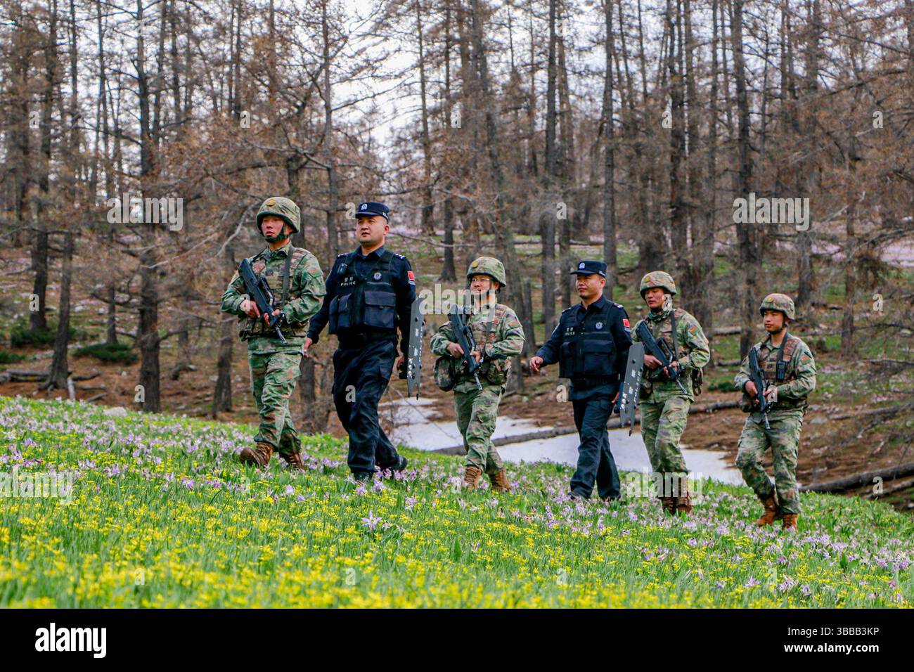Altay, China. 15th May, 2025. ALTAY, CHINA - MAY 15, 2025 - Border ...