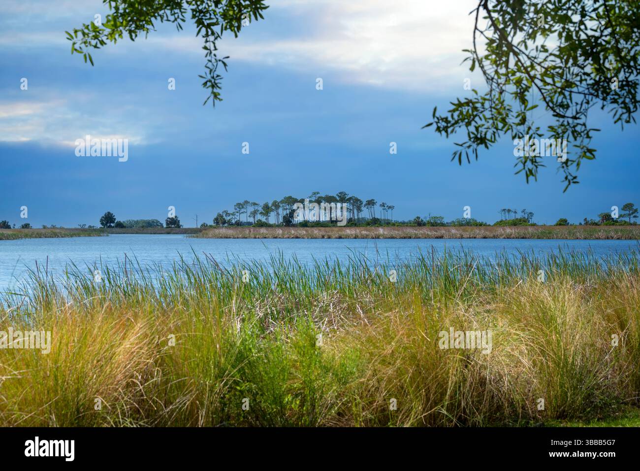 Scenic landscape in Saint Marks Nature Preserve National Park in north ...
