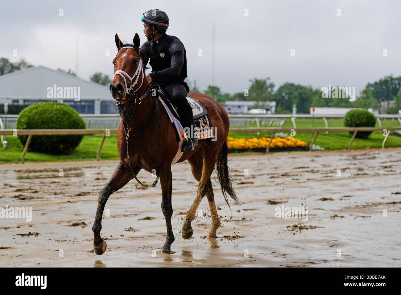 Preakness Stakes entrant River Thames works out at Pimlico Race Course ...
