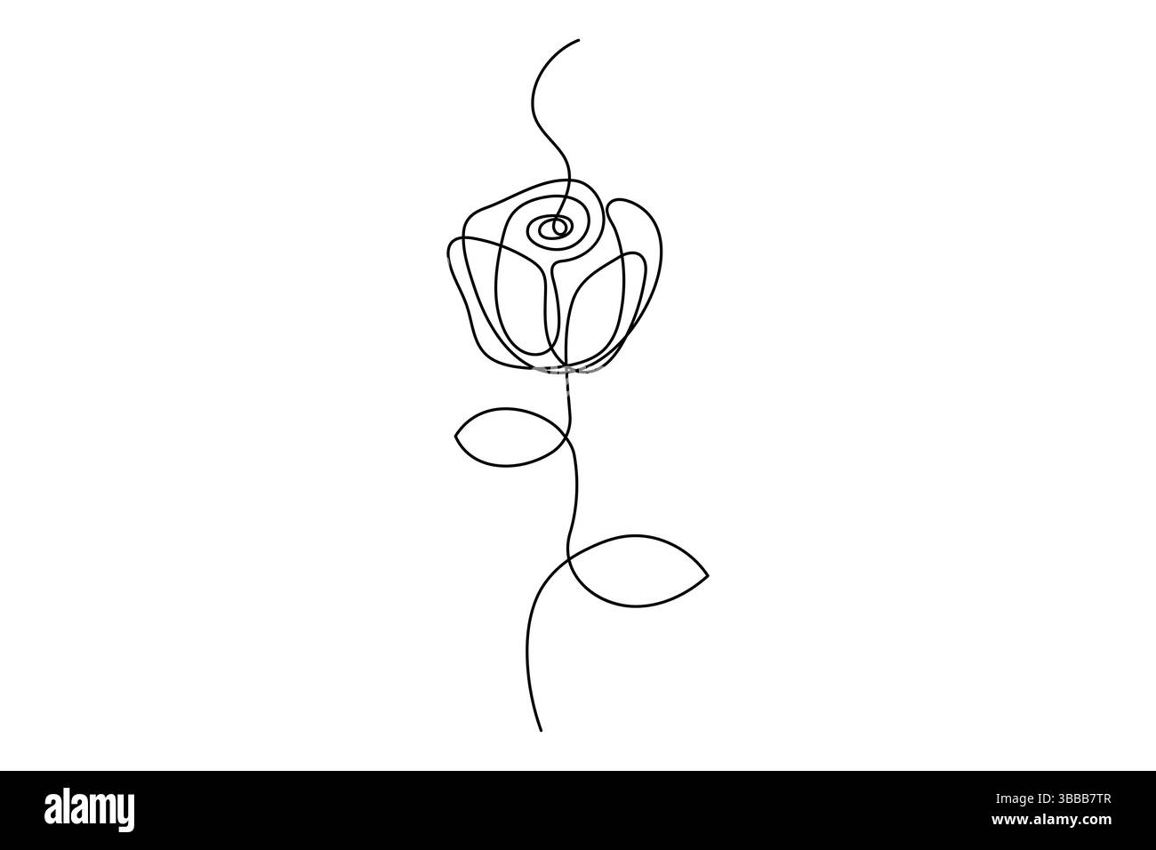 Rose flower continuous one line drawing of rose flower isolated outline vector illustration ...
