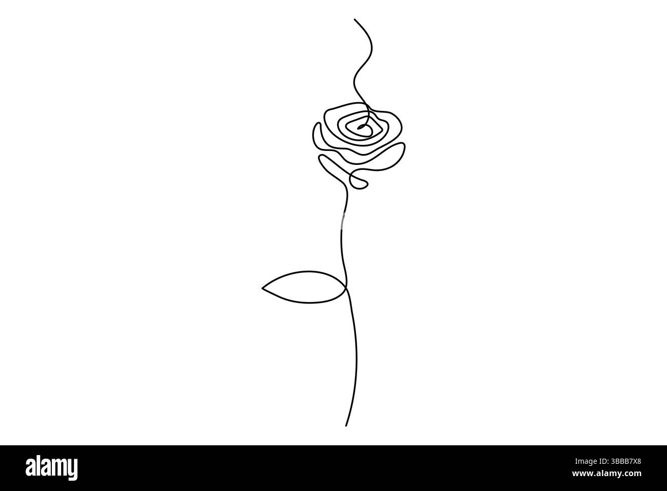 Rose flower continuous one line drawing of rose flower isolated outline vector illustration ...