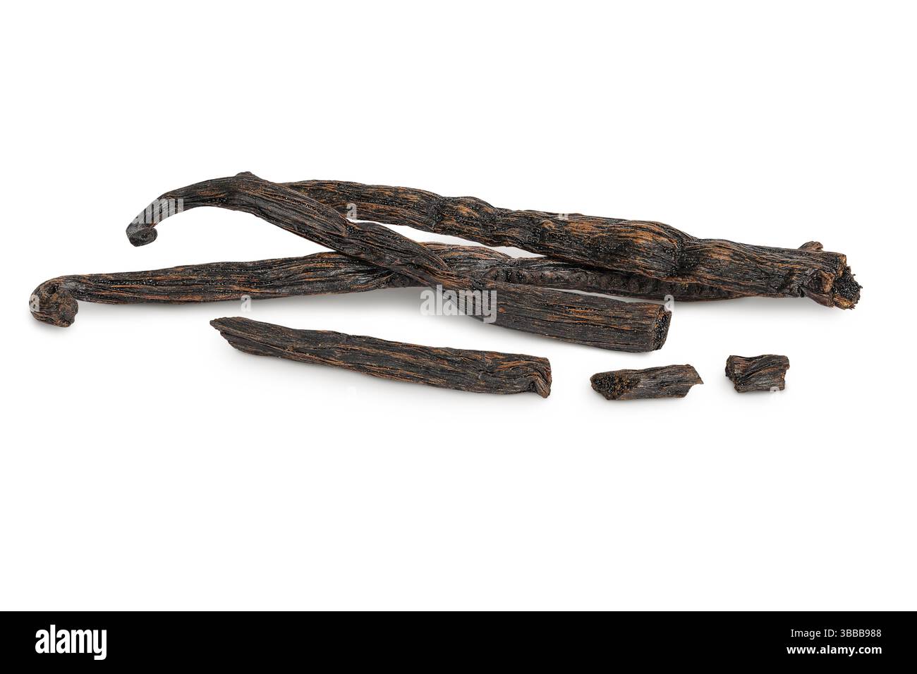 Dried vanilla stick isolated on white background Stock Photo - Alamy