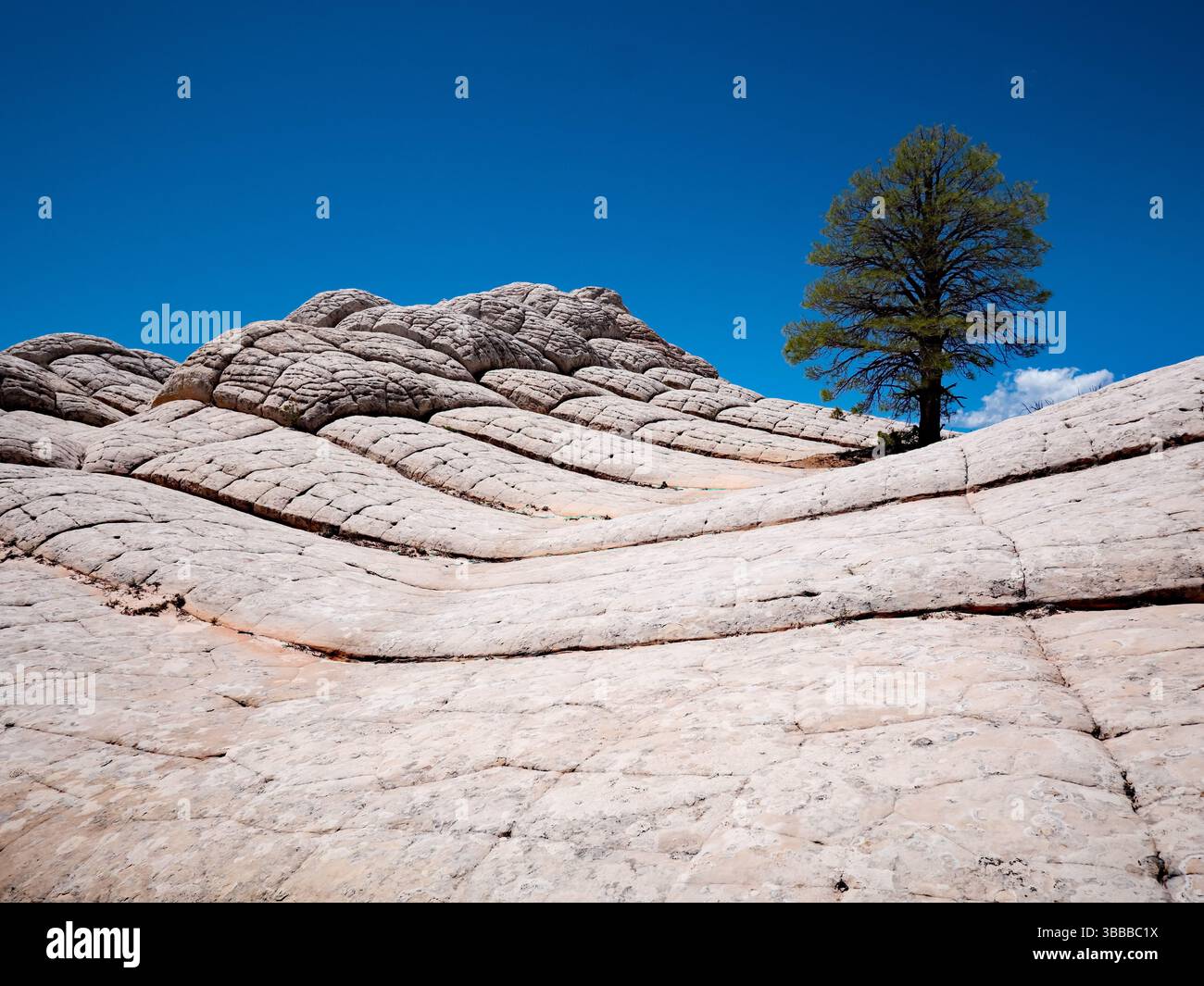 The White Pocket of the S Coyote Buttes in northern Arizona on the Utah ...
