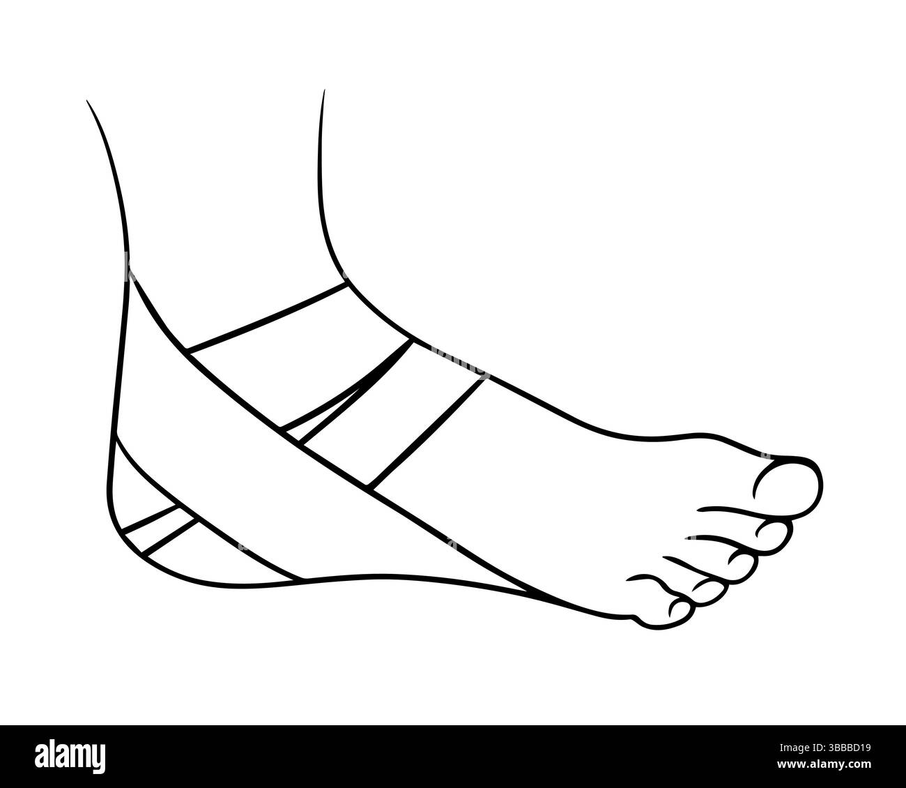 Vector isolated illustration of heel bandaging. First aid for heel ...