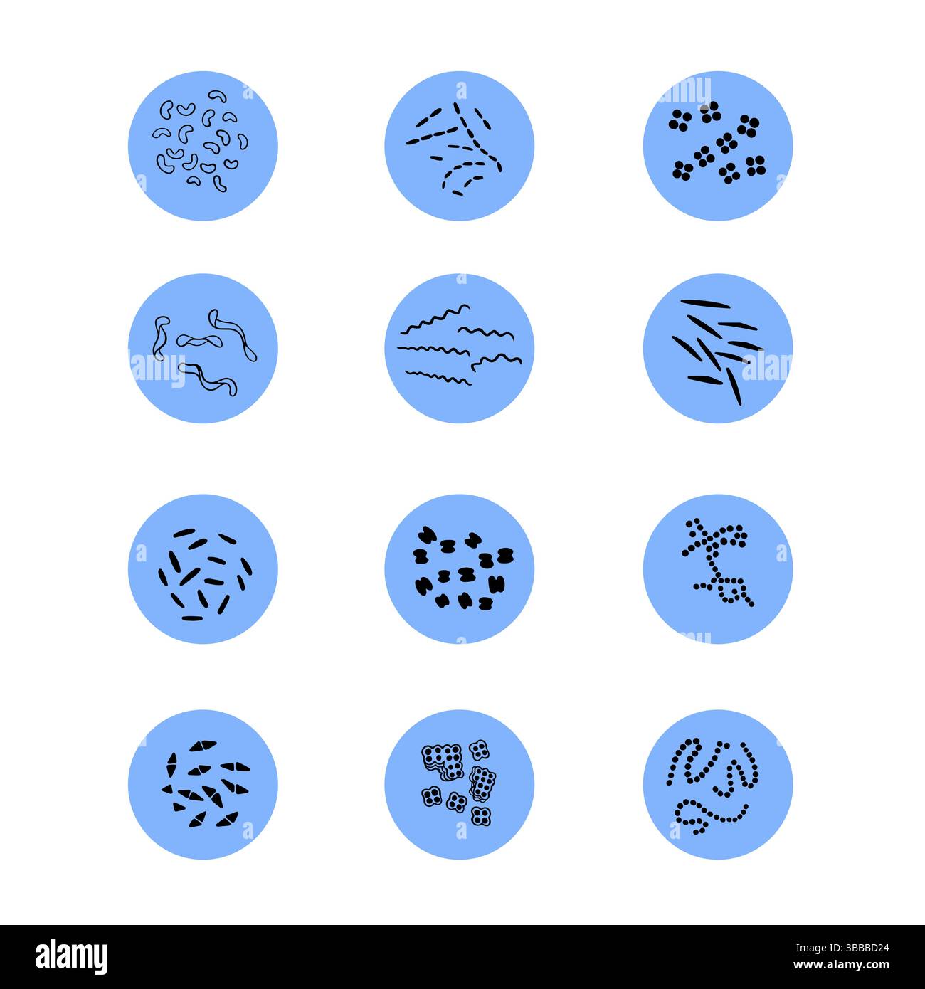 Vector isolated illustration of a set of bacteria types: vibrios and ...