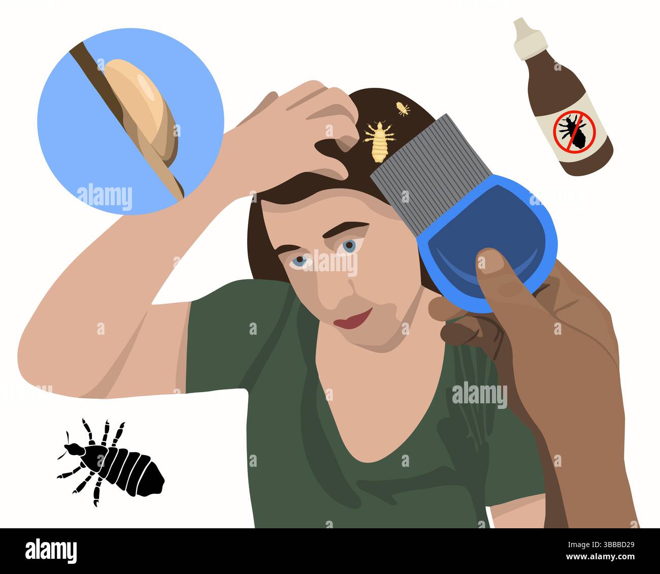 Vector isolated illustration of comb to remove nits. Combing nits. A ...