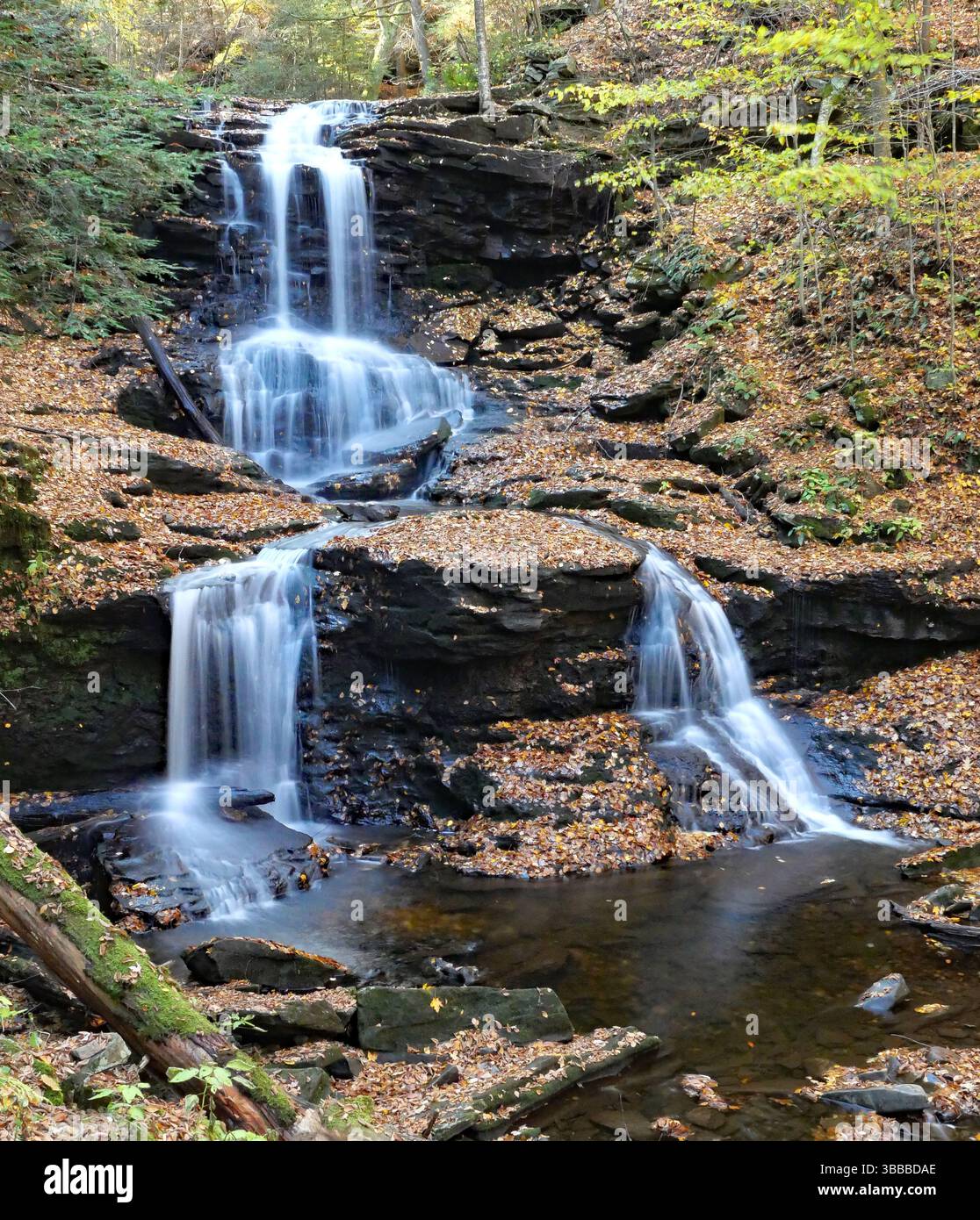 Buskill falls hi-res stock photography and images - Alamy