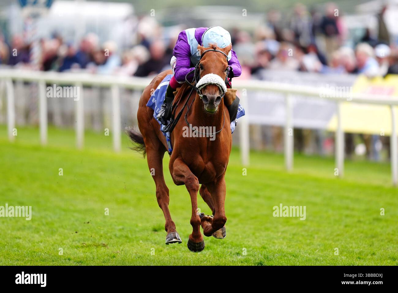 See The Fire ridden by Oisin Murphy on their way to winning the Al ...