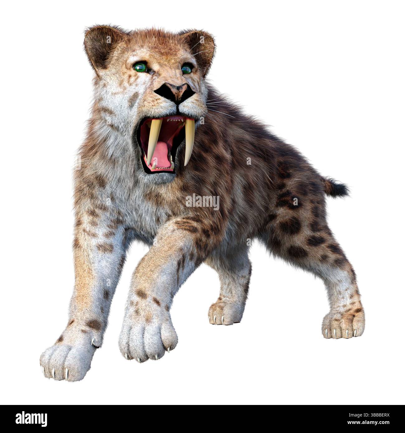 3D rendering of a saber toothed tiger isolated on white background ...