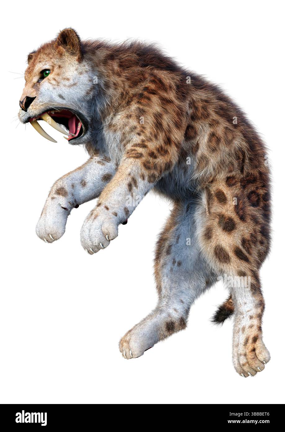 3D rendering of a saber toothed tiger isolated on white background ...