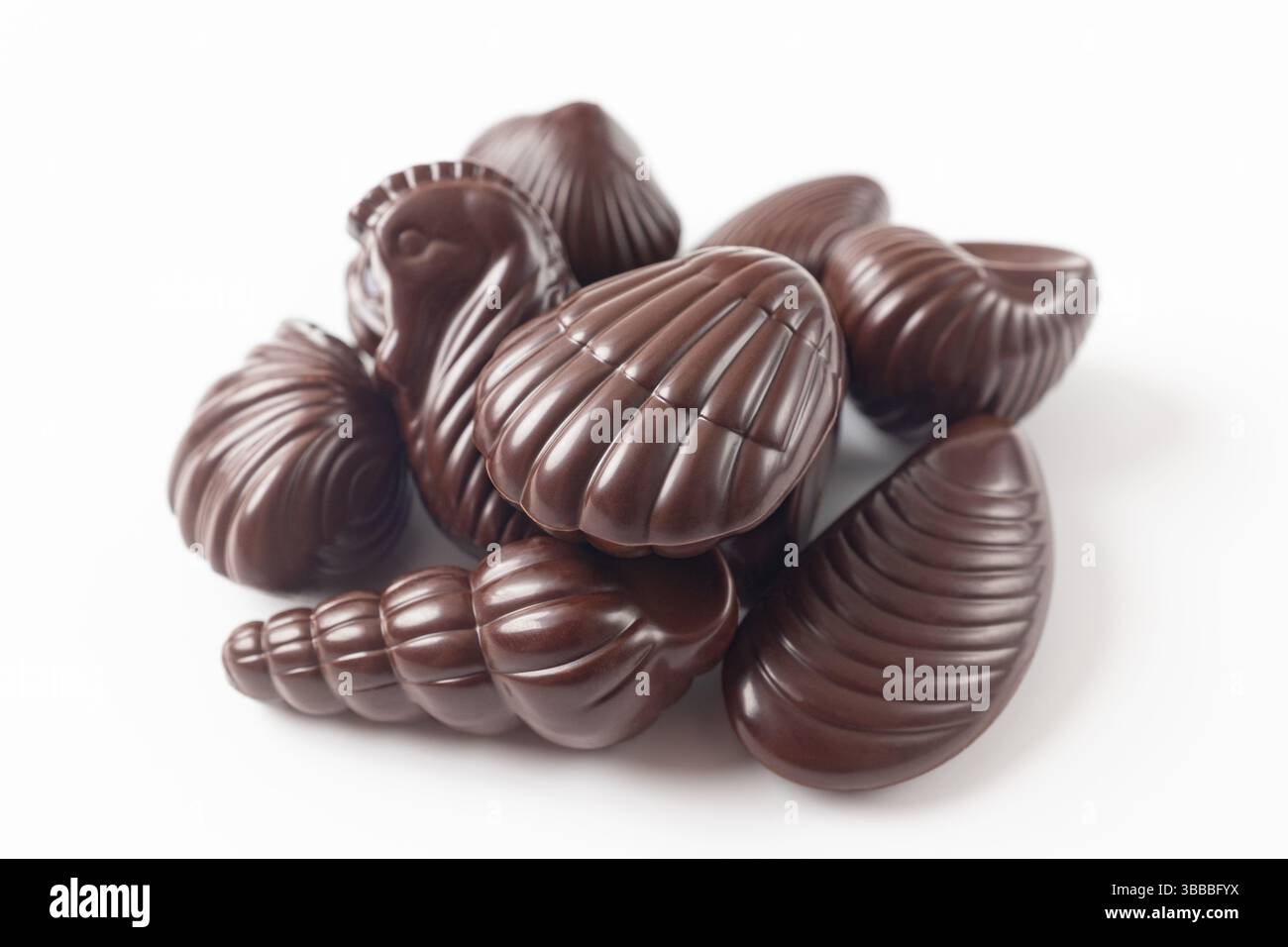 Seashells Chocolate on A White Background Stock Photo - Alamy