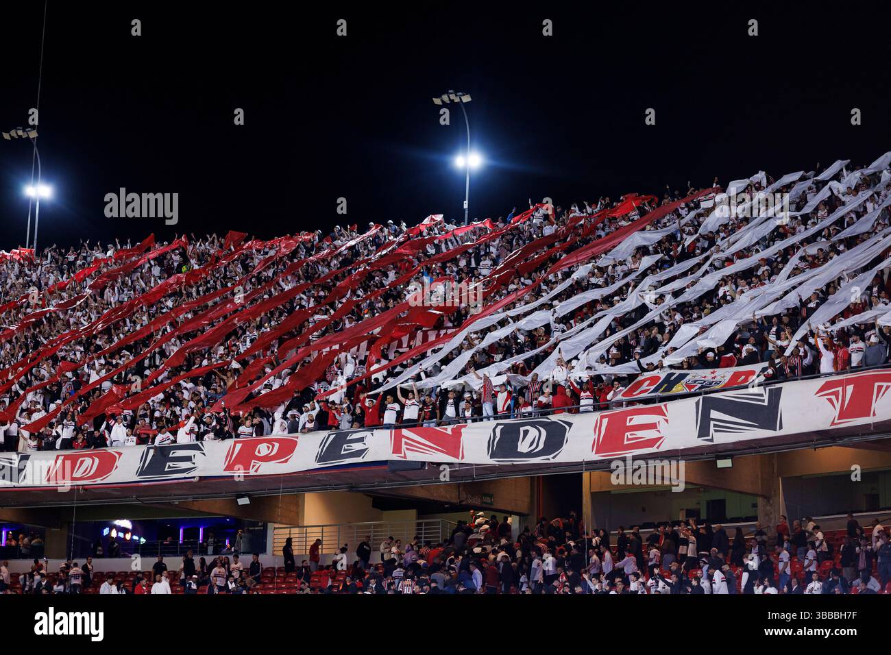 Sao Paulo supporters having fun during the Copa CONMEBOL Libertadores match between Sao Paulo ...