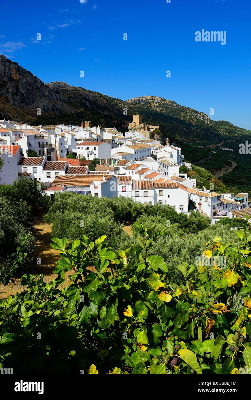 Zuheros, castle and village, Sierra de la Subbetica, route of the ...