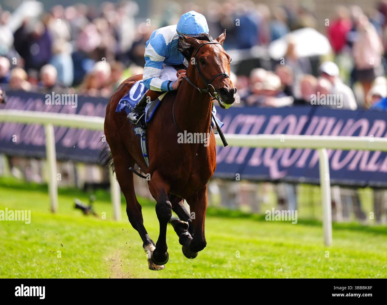 Pride Of Arras ridden by Rossa Ryan on their way to winning the Al ...