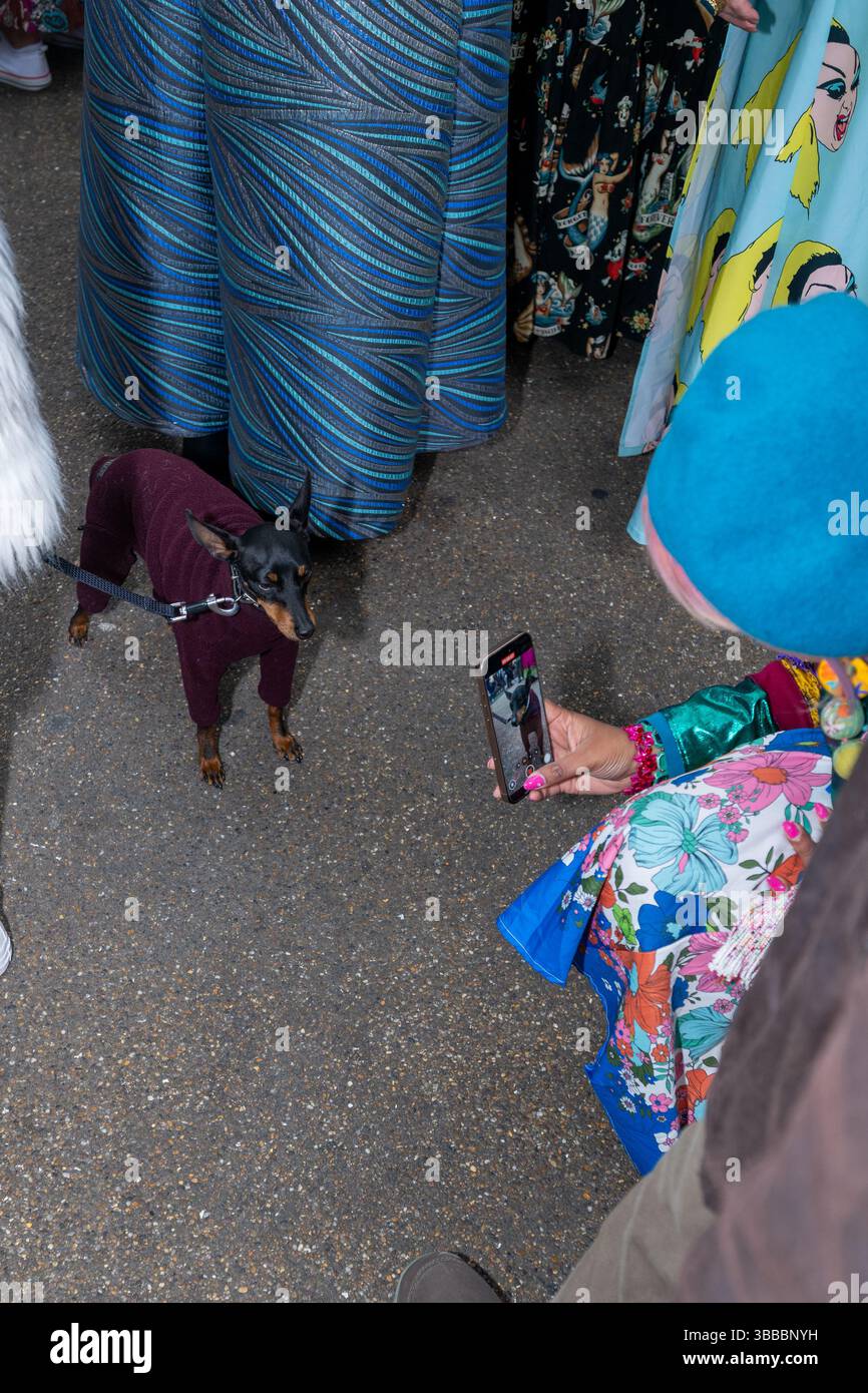 London, UK, 15th May 2025, The monthly colour walk took place at ...