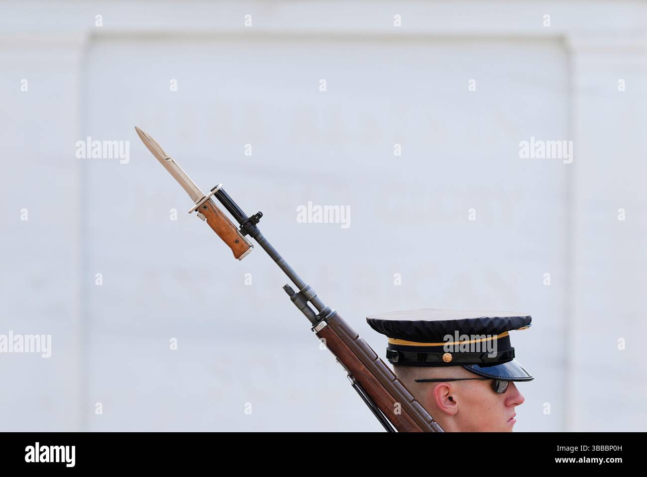 A tomb guard of the 3rd U.S. Infantry Regiment, known as "The Old Guard ...