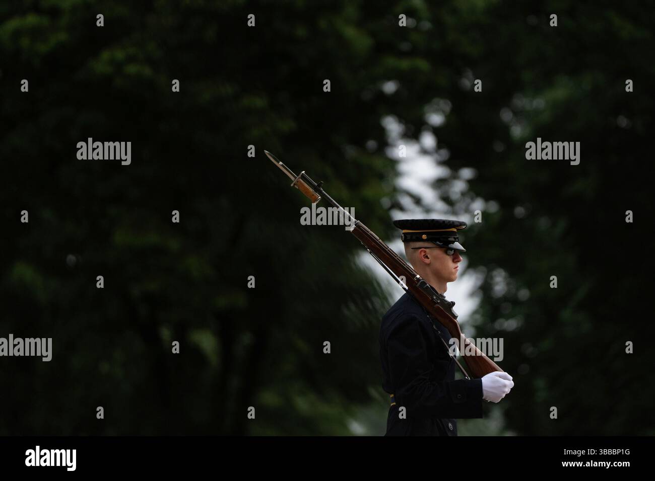A tomb guard of the 3rd U.S. Infantry Regiment, known as "The Old Guard ...