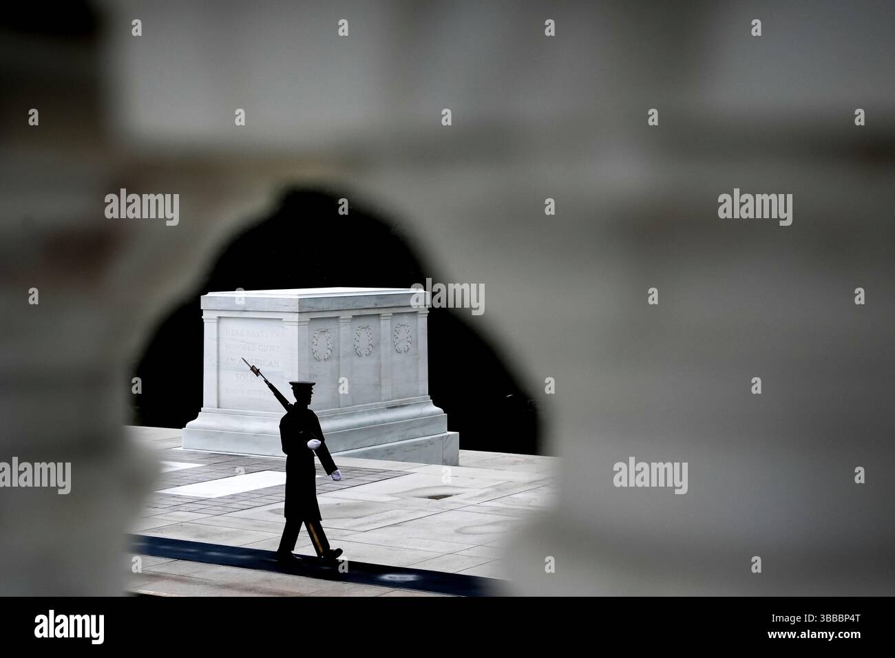 A tomb guard of the 3rd U.S. Infantry Regiment, known as "The Old Guard ...