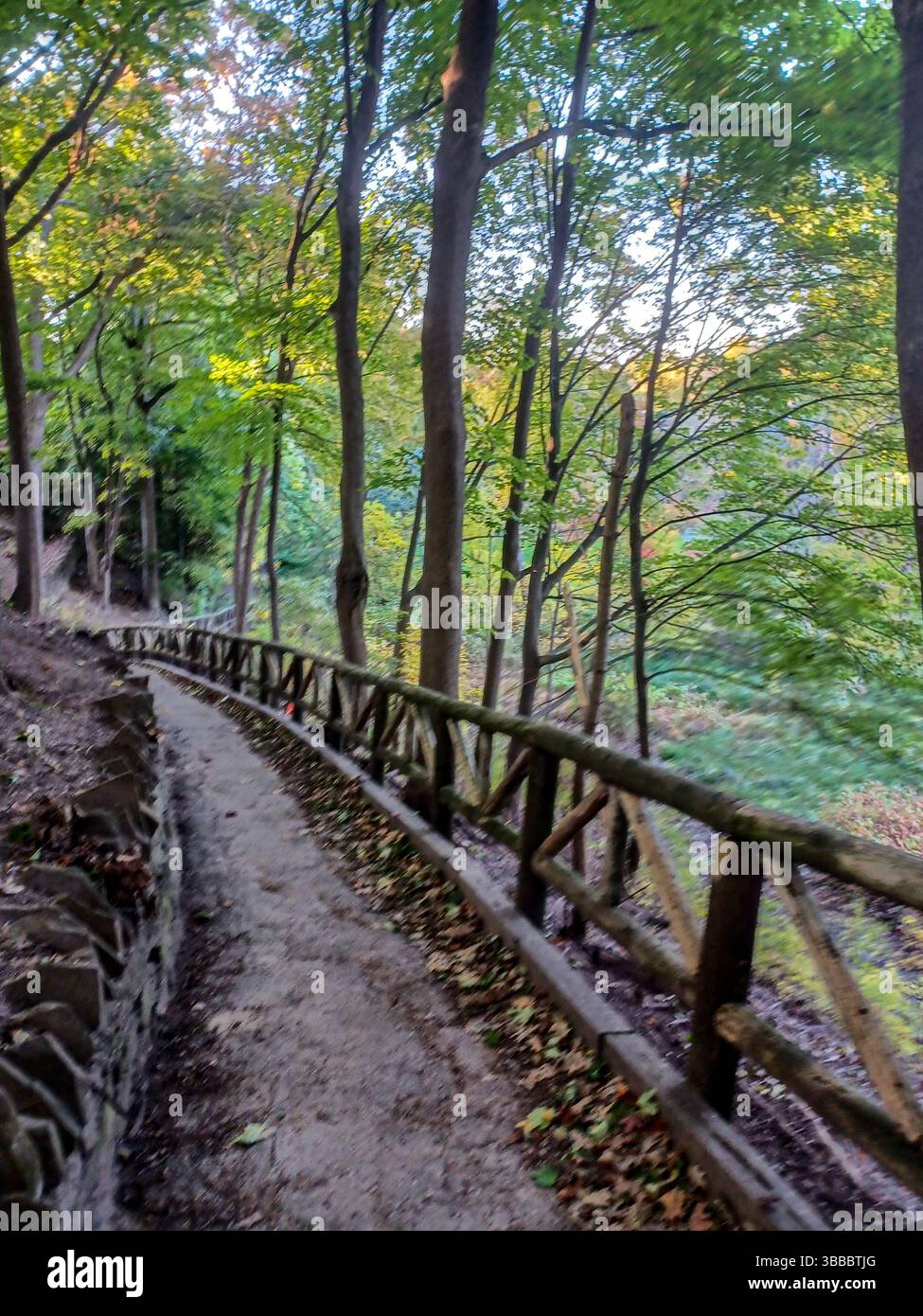 A quiet forest trail with a wooden fence winds through the lush ...