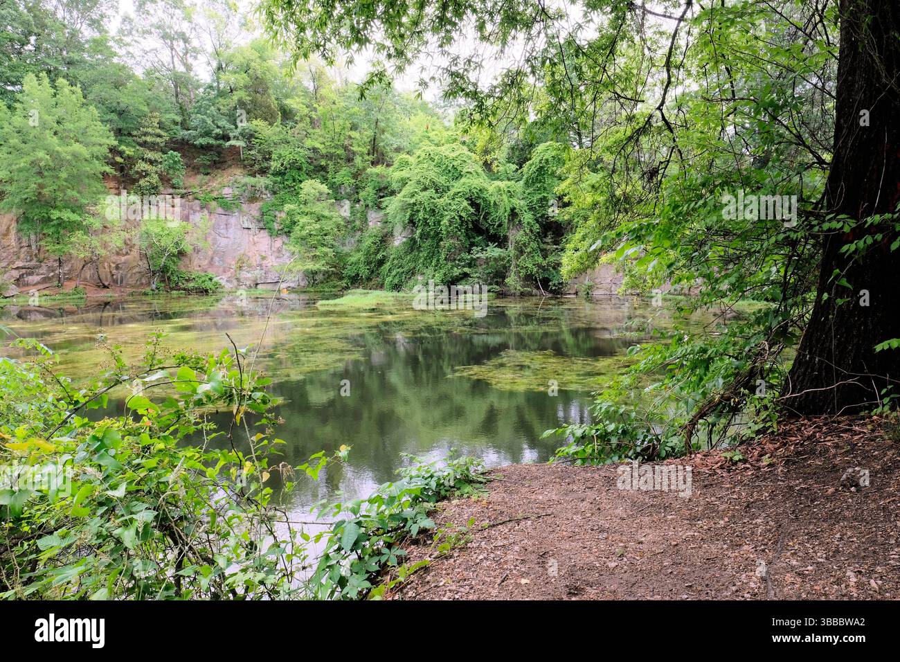 Reflecting water at the Belle Isle Quarry Pond; abandoned quarry pit on ...