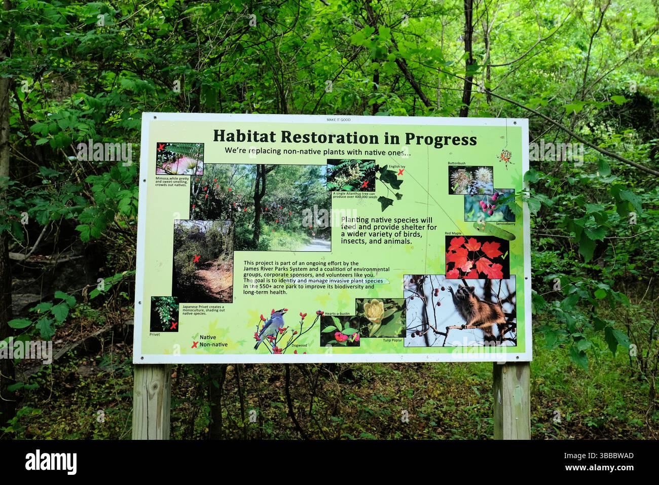 Ecological ecosystem native hi-res stock photography and images - Alamy