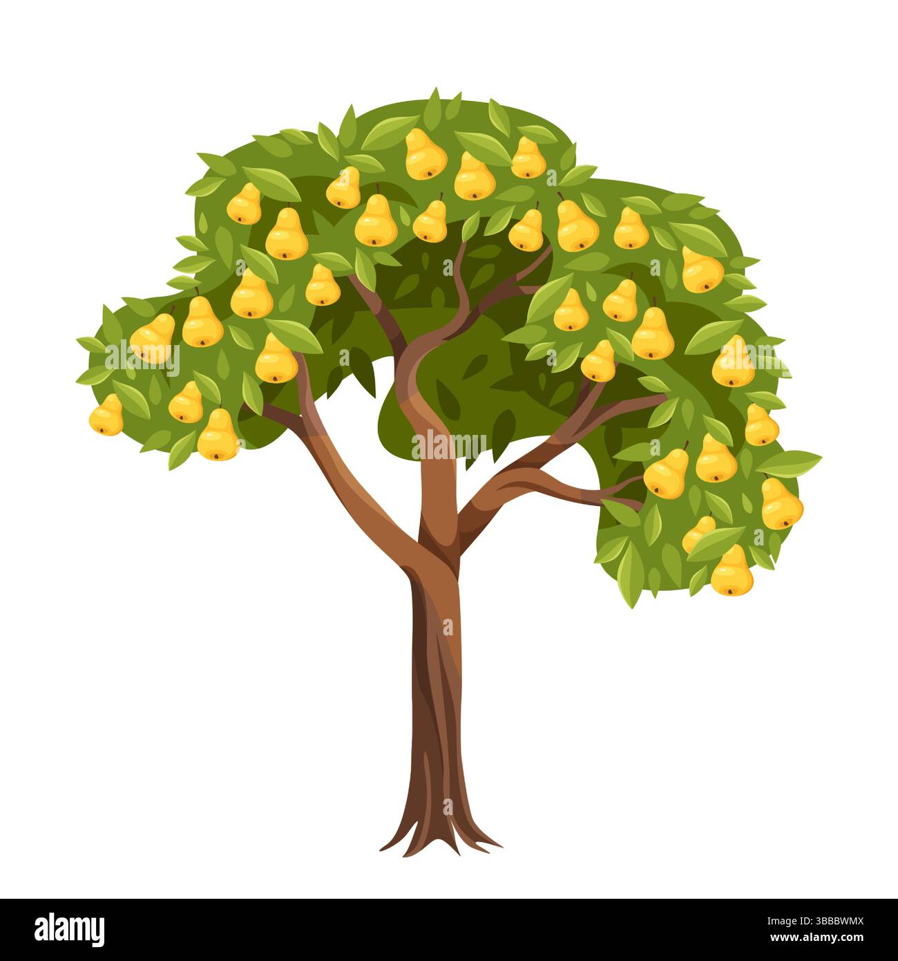 Pear fruit tree branch Stock Vector Images - Alamy