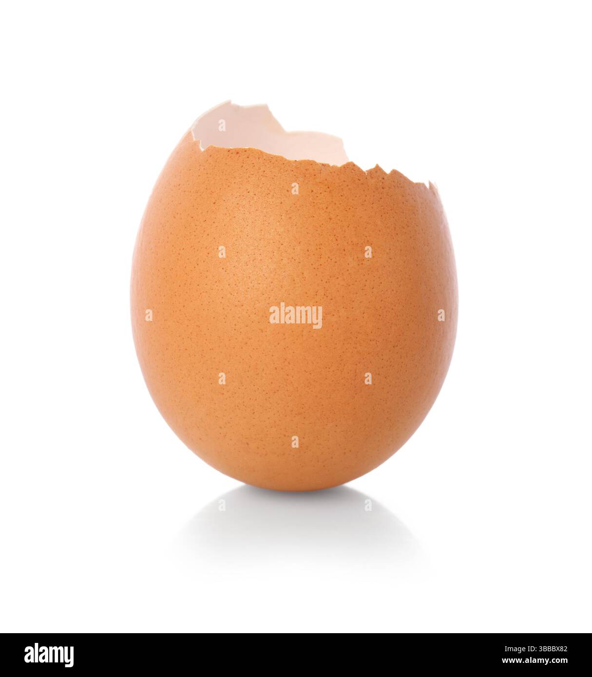 One piece of broken eggshell on mirror surface against white background ...
