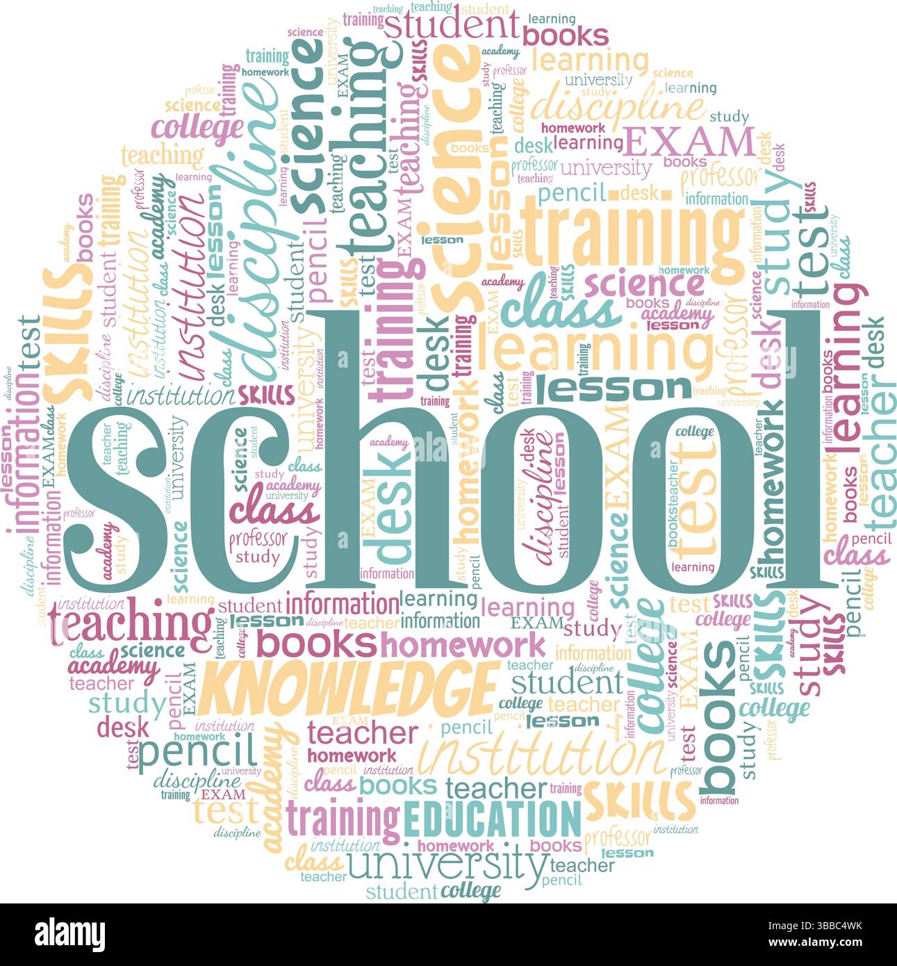 School word cloud isolated on a white background Stock Vector Image ...