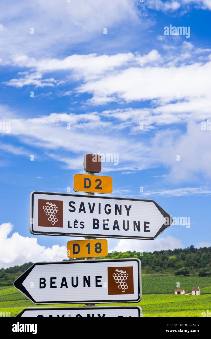 Road signs indicating destinations in Burgundy wine region, France ...